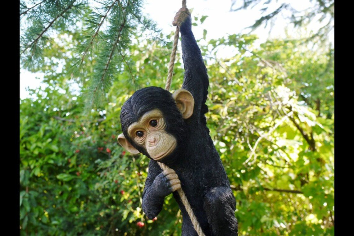 Chimp on a Rope Climbing Monkey Ornament Garden Decoration - Etsy UK