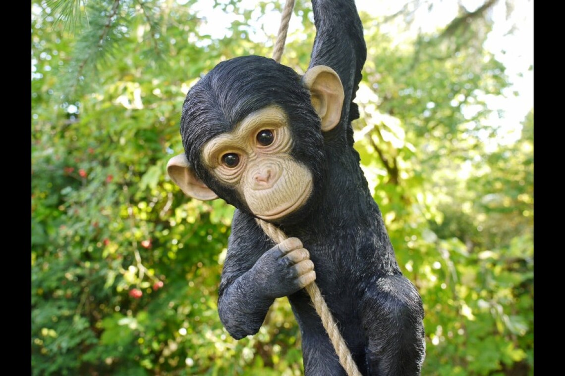Chimp on a Rope Climbing Monkey Ornament Garden Decoration - Etsy UK