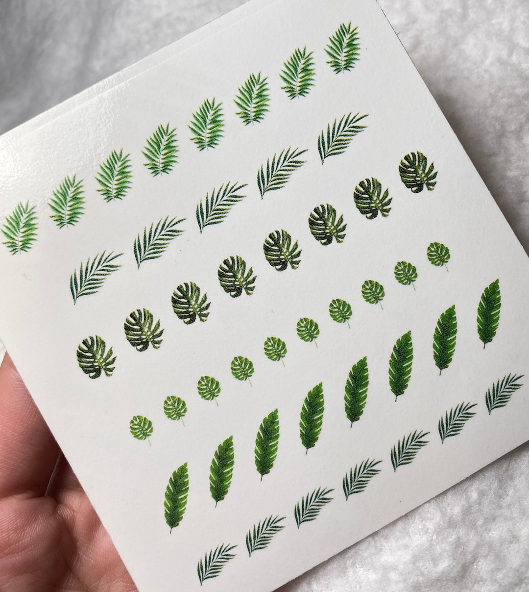 Tropical Leaf Waterslide Decals - Etsy