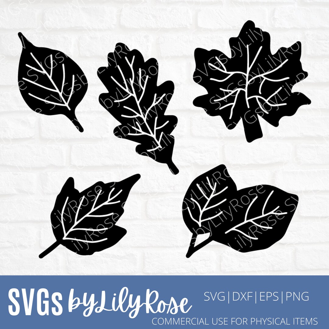 Leaf SVG File for Cricut or Sihouette- Leaves Cut File- Fall Clipart ...