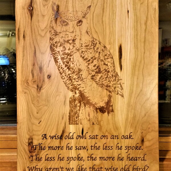 Owl Serving Tray - Etsy