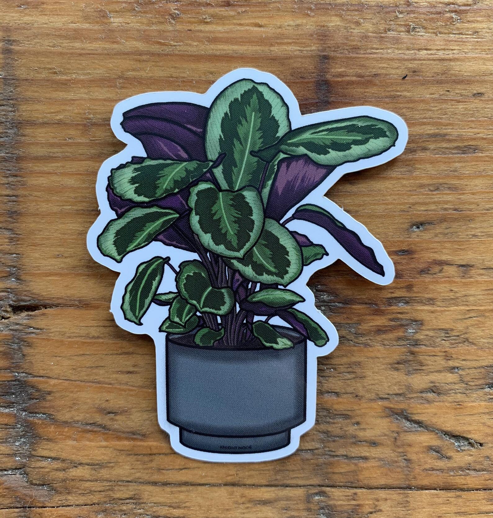 Sticker - Multi Pack (4 Stickers) Custom Cut, Die-cut, All Purpose ...