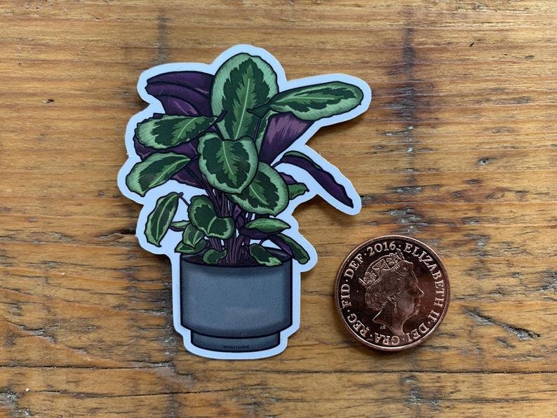 Sticker - Multi Pack (4 Stickers) Custom Cut, Die-cut, All Purpose ...