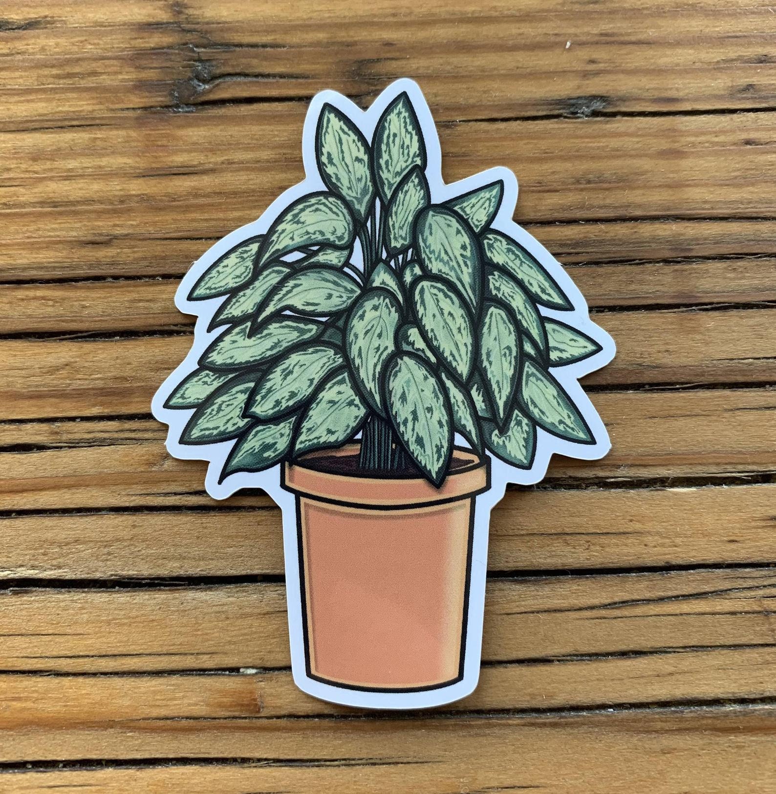 Sticker Multi Pack 4 Stickers Custom Cut Die-Cut All | Etsy