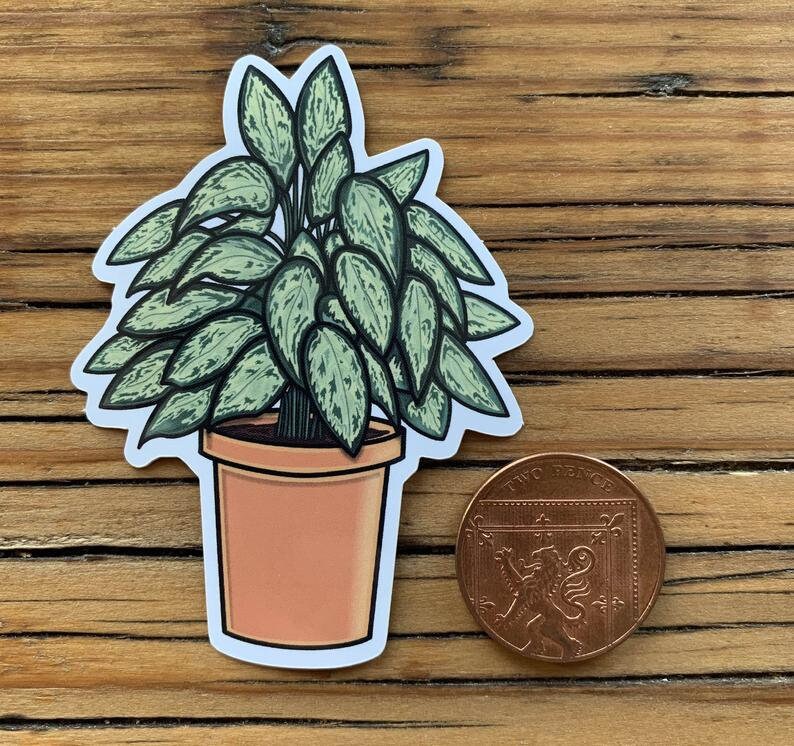 Sticker - Multi Pack (4 Stickers) Custom Cut, Die-cut, All Purpose ...