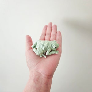 Little Realistic Frog - Critter Stitch Crochet Pattern/amigurumi - Etsy