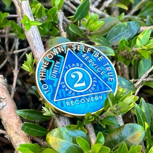 Hand-painted AA 2 Year Chip | Blue Sobriety Medallion | Recovery Gift ...