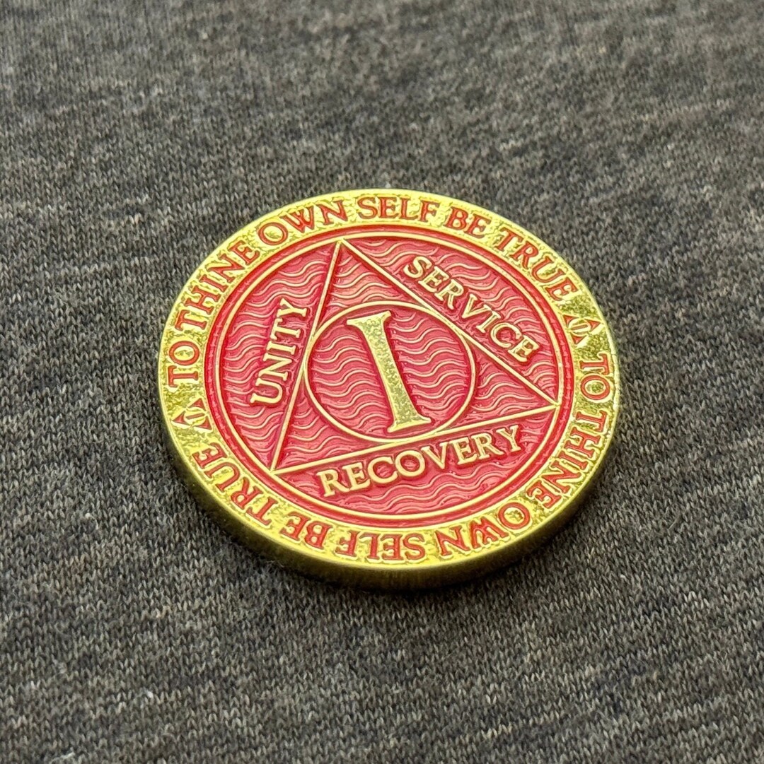 AA 1 Year Chip Pink Sobriety Token Recovery Gift Alcoholics Anonymous ...