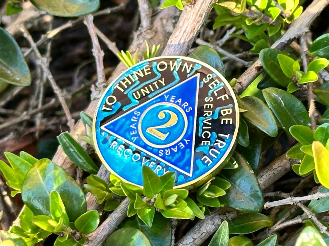 Hand-painted AA 2 Year Chip | Blue Sobriety Medallion | Recovery Gift ...