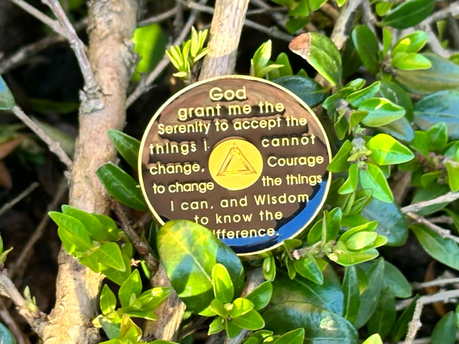 Hand-painted AA 2 Year Chip | Blue Sobriety Medallion | Recovery Gift ...