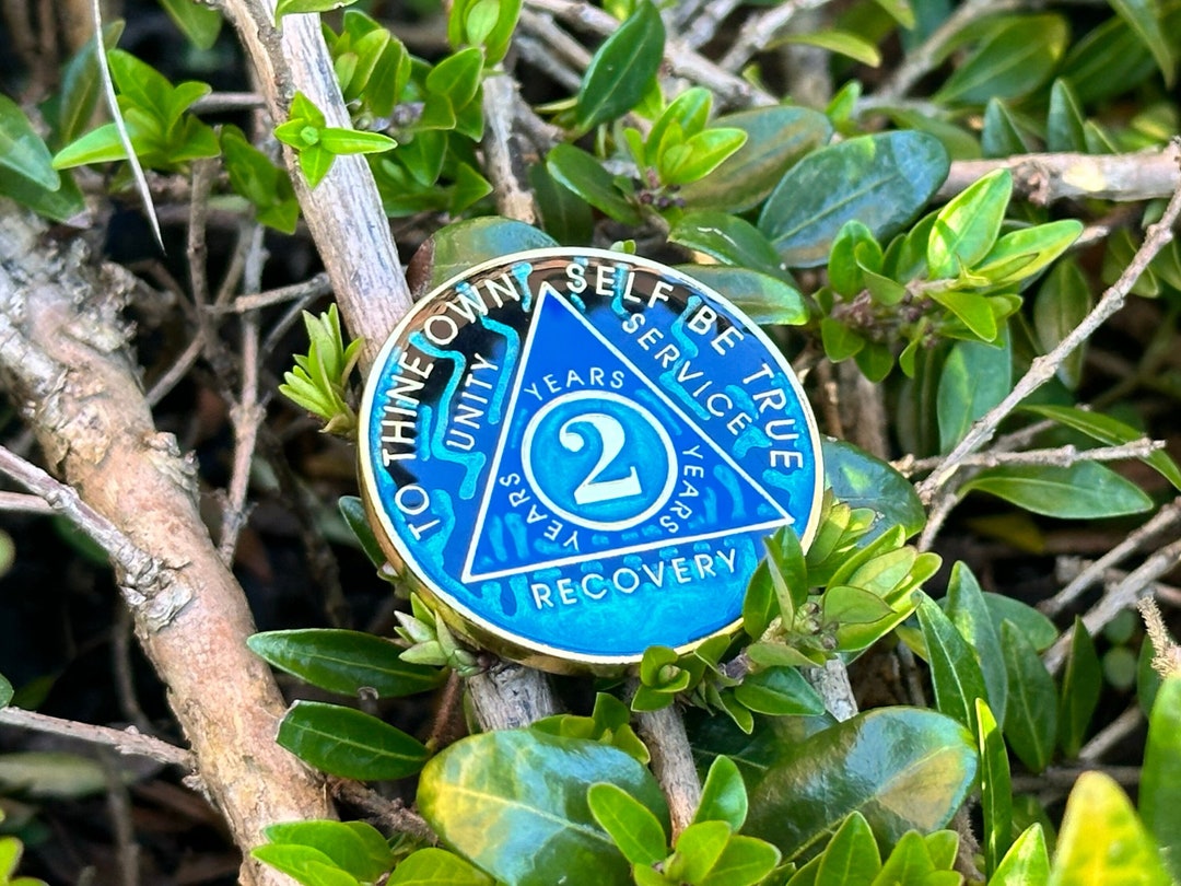 Hand-painted AA 2 Year Chip Blue Sobriety Medallion Recovery Gift ...