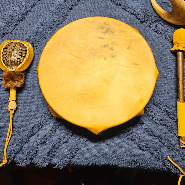 Turtle Shell Rattle - Etsy