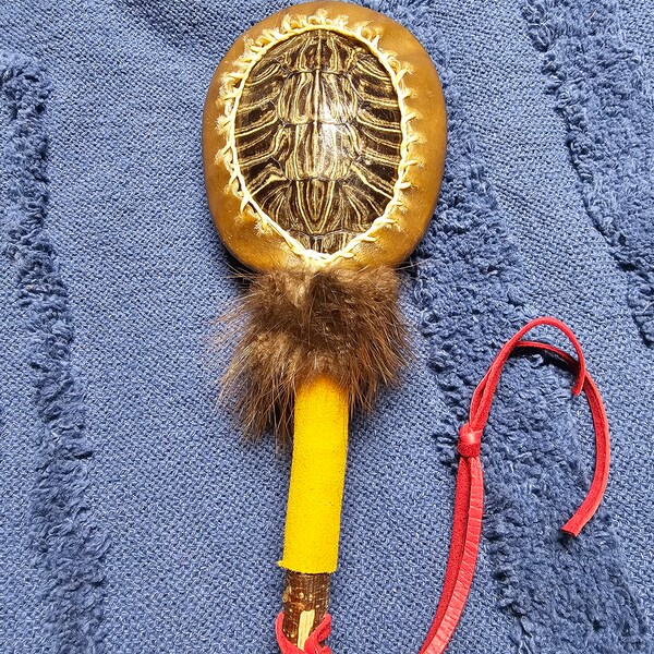Turtle Shell Rattle - Etsy