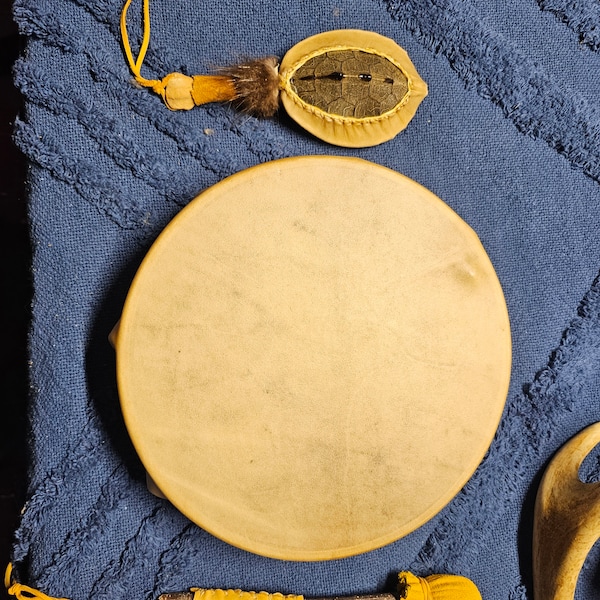 Turtle Shell Rattle - Etsy