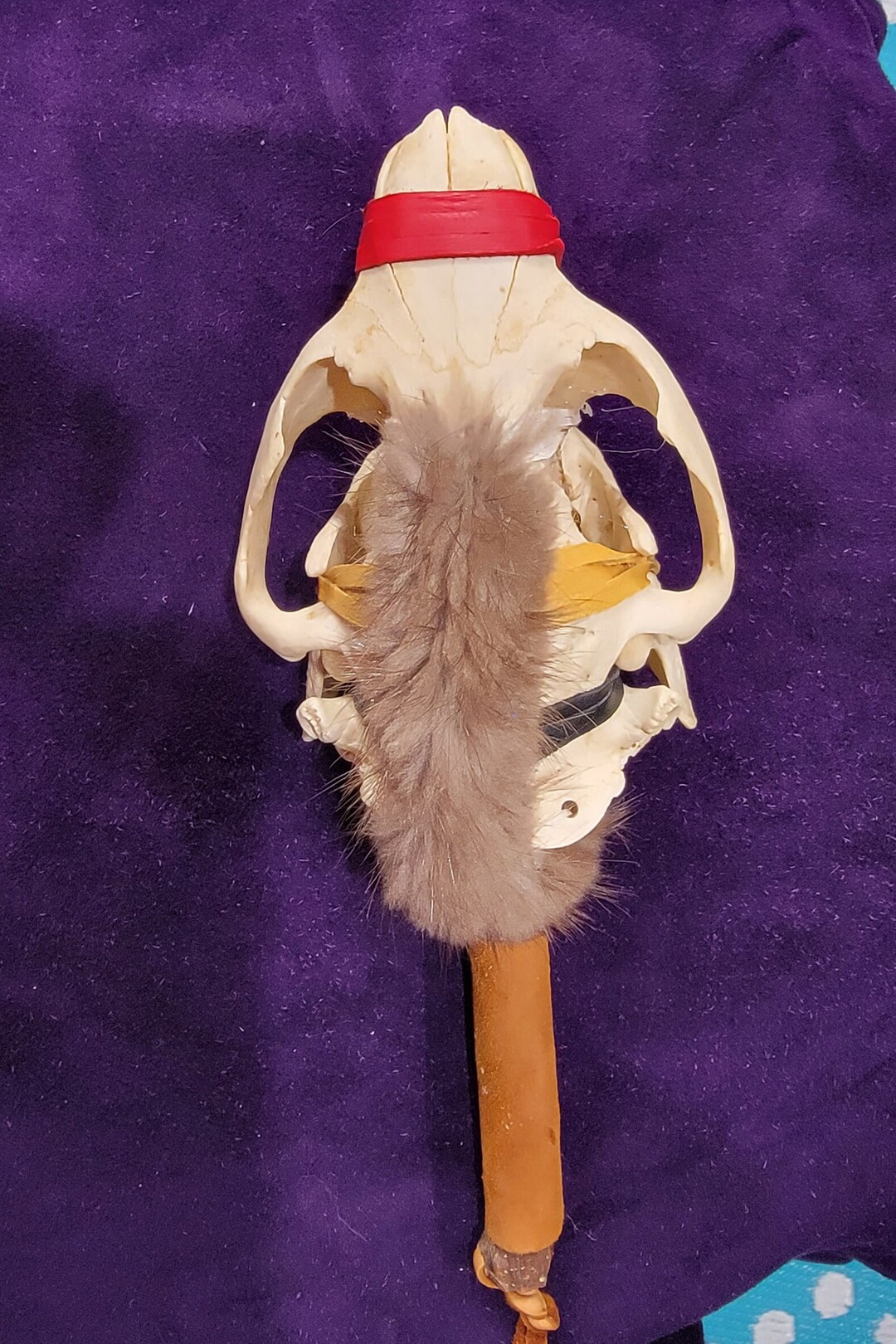 Beaver Skull Shaman Rattle, With Beaver Fur Accents - Etsy