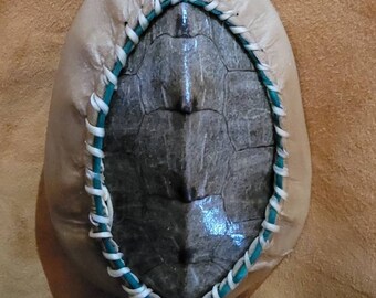 Turtle Shell Rattle - Etsy