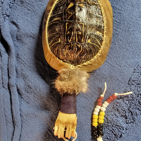 Turtle Shell Rattle - Etsy