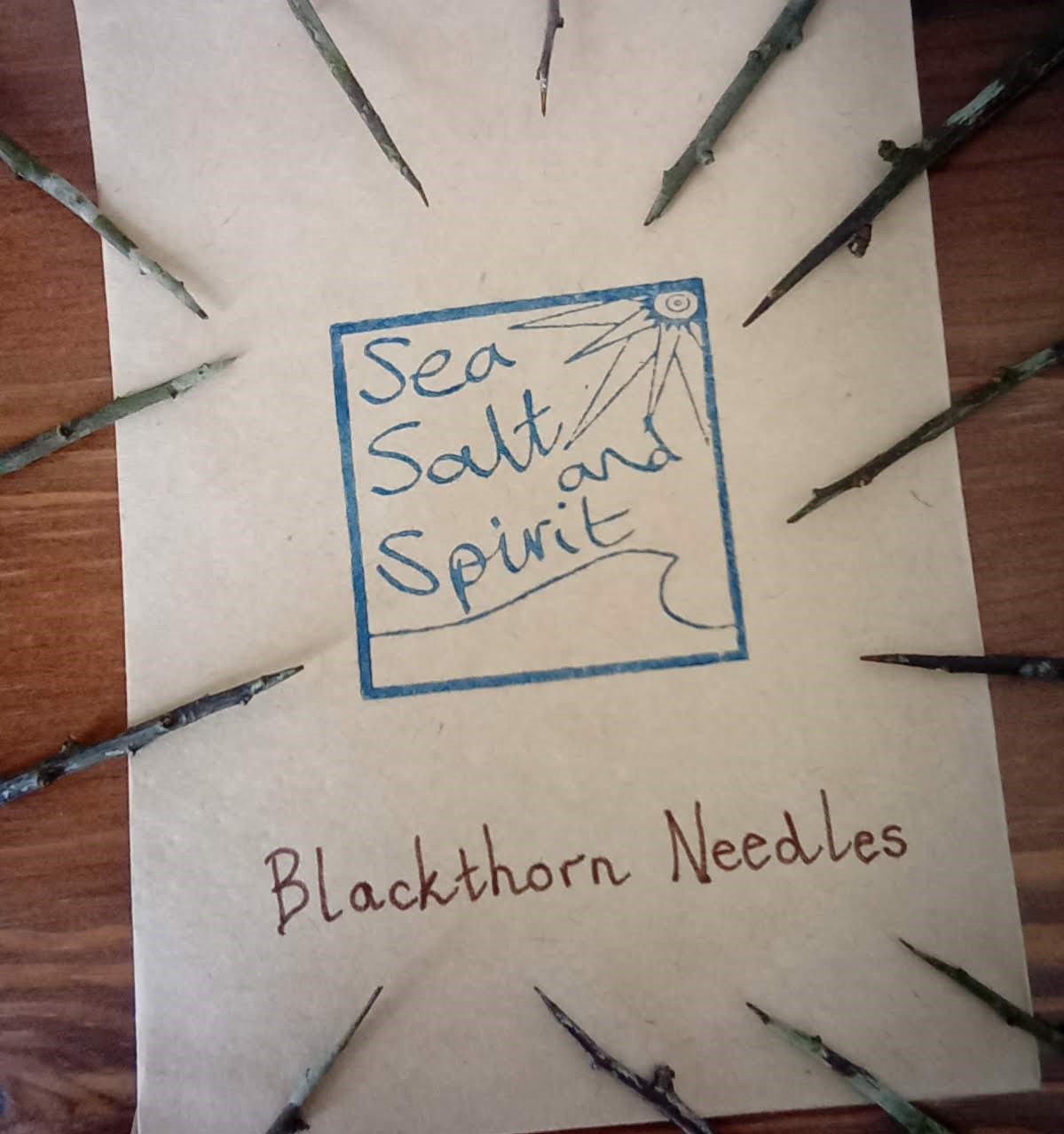 13 Blackthorn thorns magickal Blackthorn spikes English | Etsy