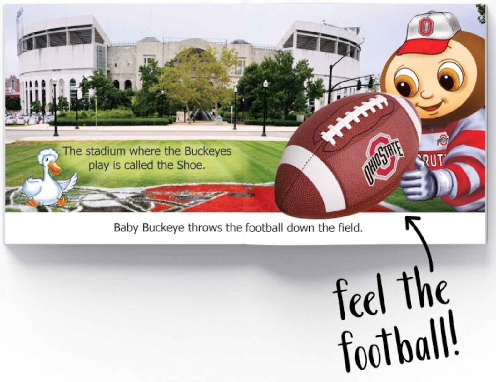 Meet Baby Buckeye! Let Baby Brutus Take You on a Tour of the Ohio State ...