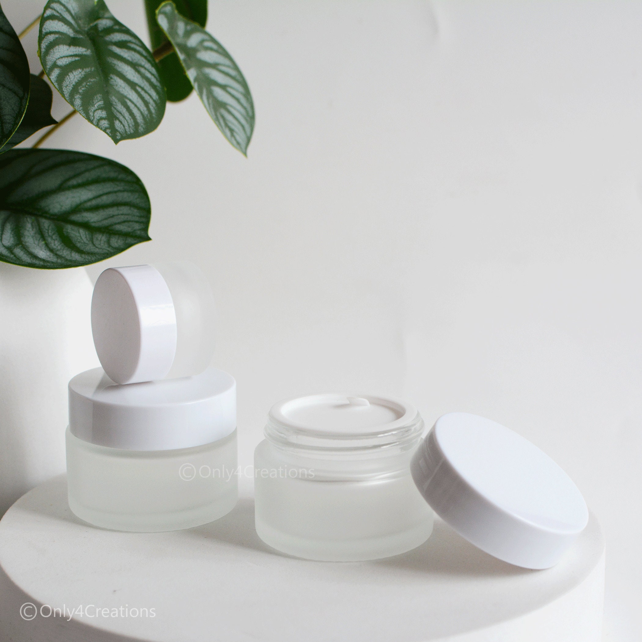 5g 15g 30g 50g 100g White Frosted Glass Cream Jar Container | Etsy