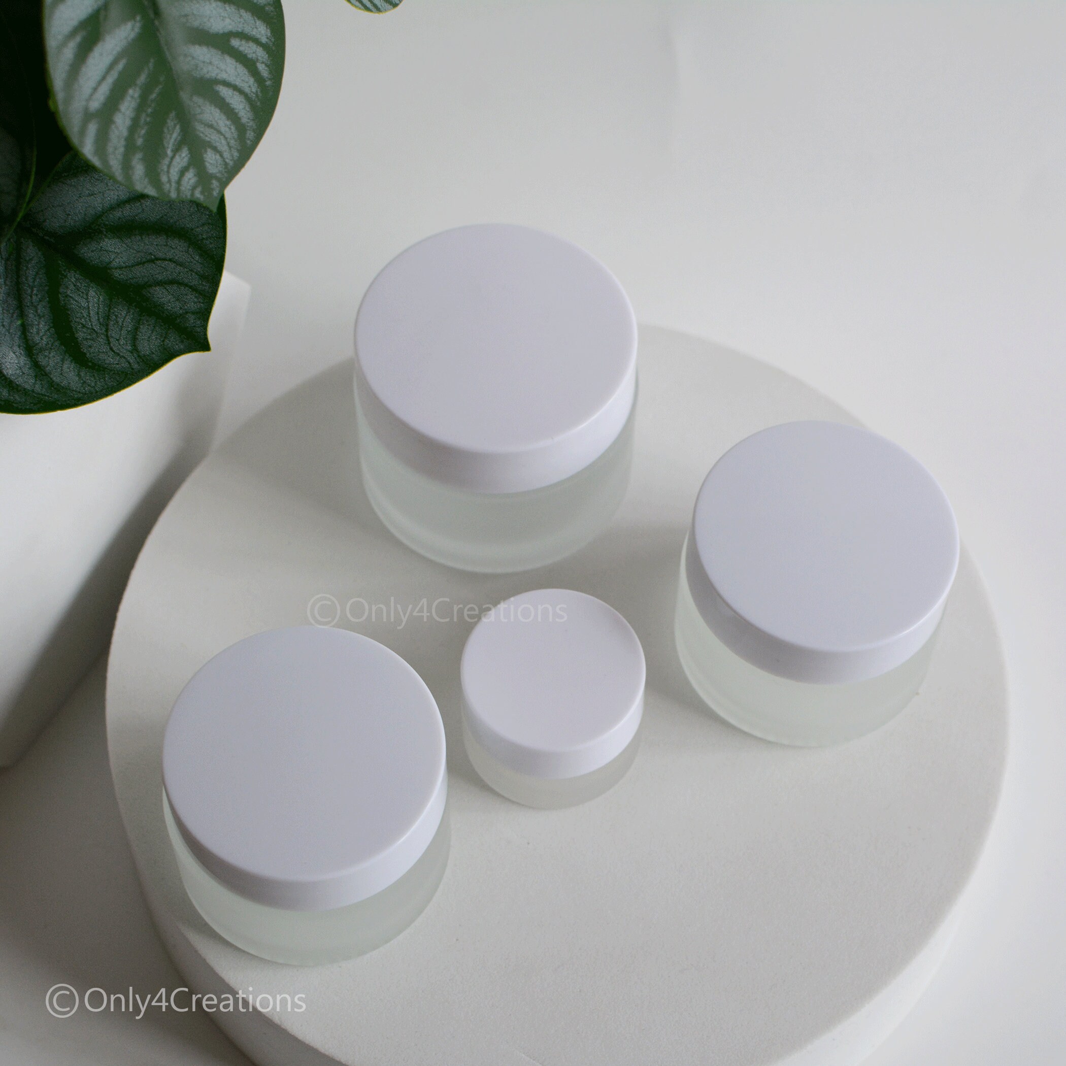 5g 15g 30g 50g 100g White Frosted Glass Cream Jar Container | Etsy