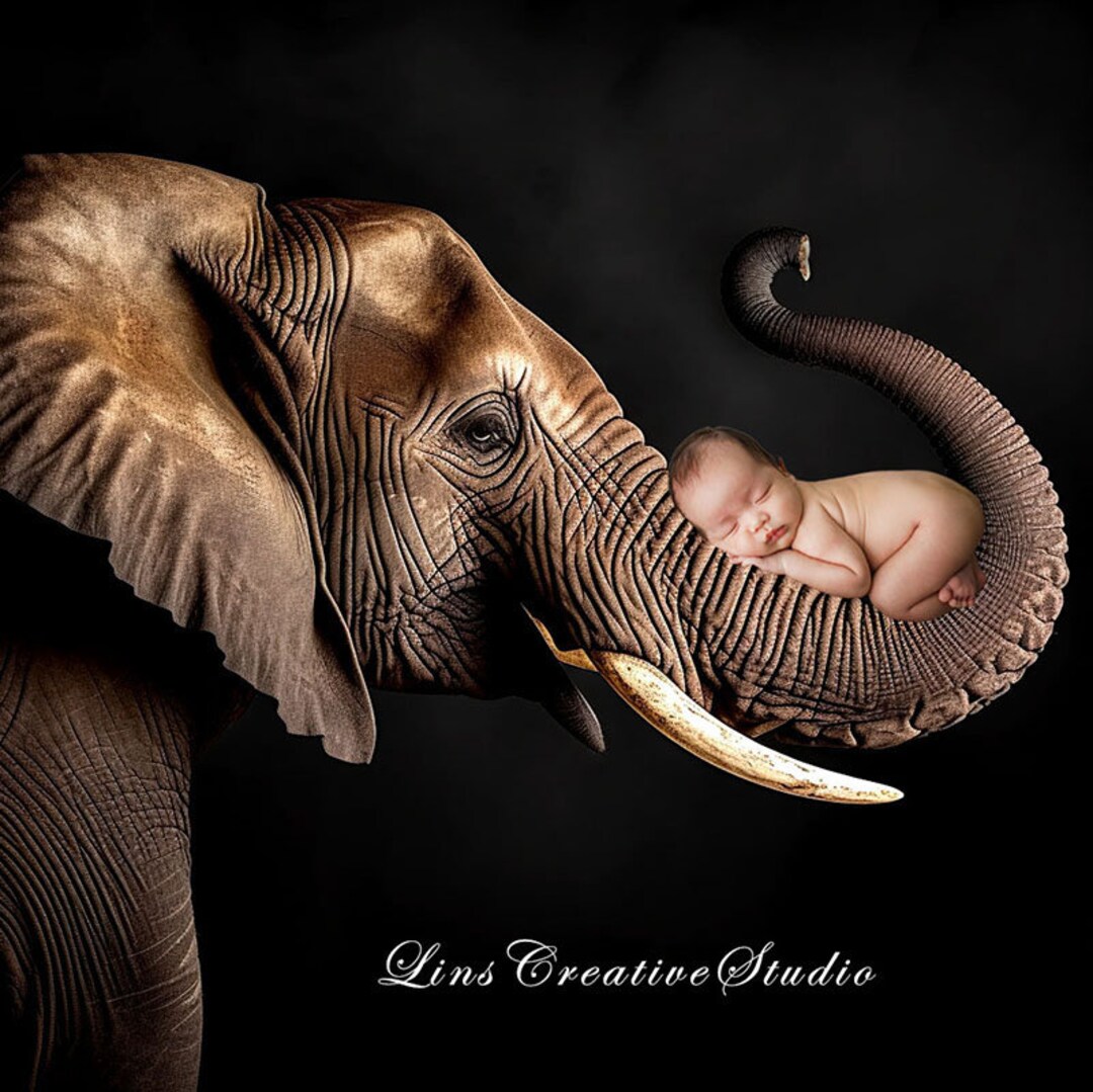 Newborn Digital Backdrop Elephant Background, Digital Photography ...