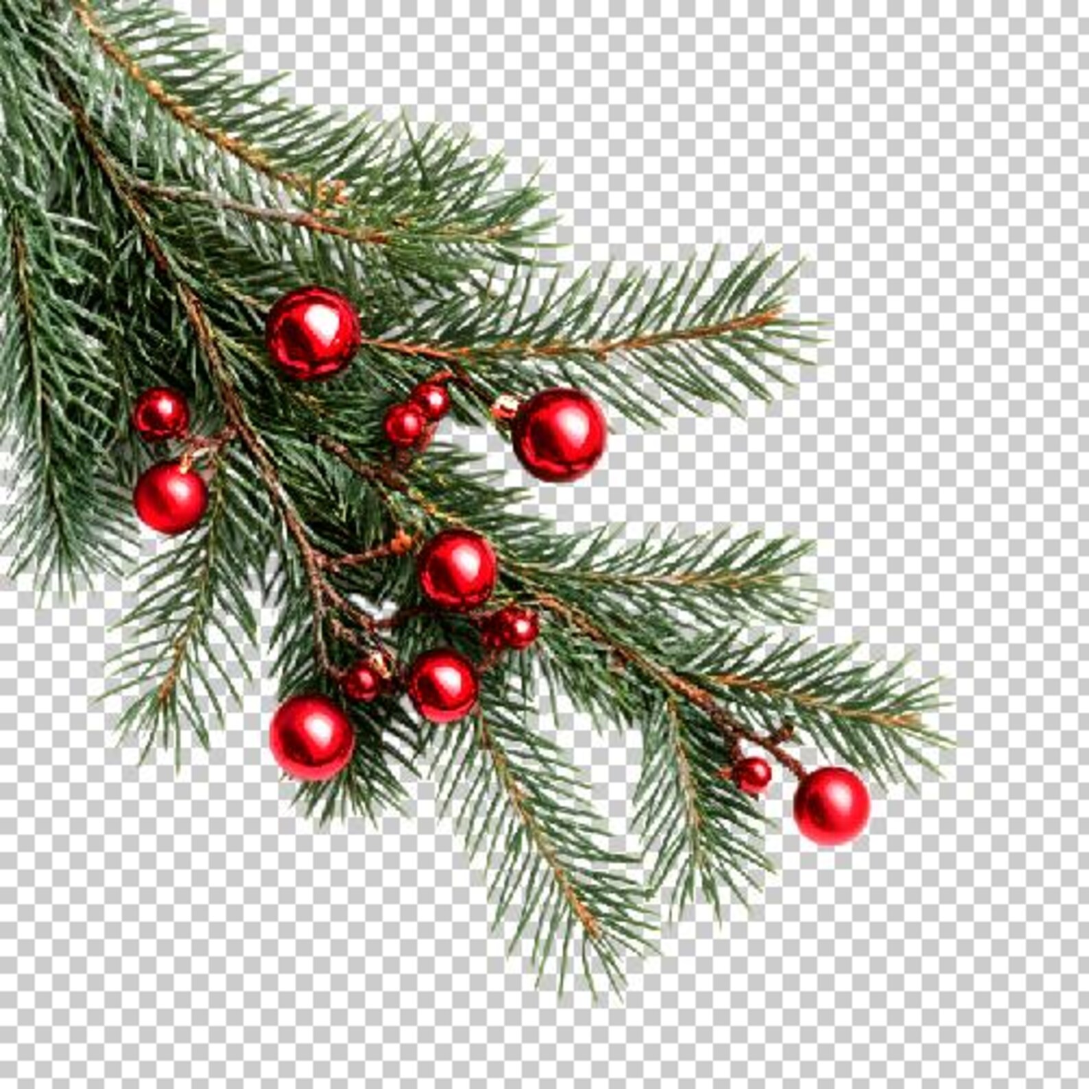 Christmas Tree Branch PNG Overlays: Festive Holiday Graphics (45) - Etsy