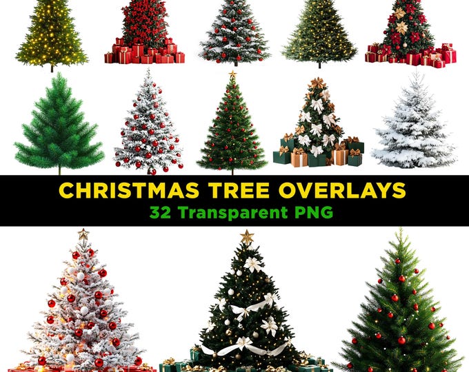 Winter Trees Overlay Photoshop Overlays for Photoshop. Digital ...