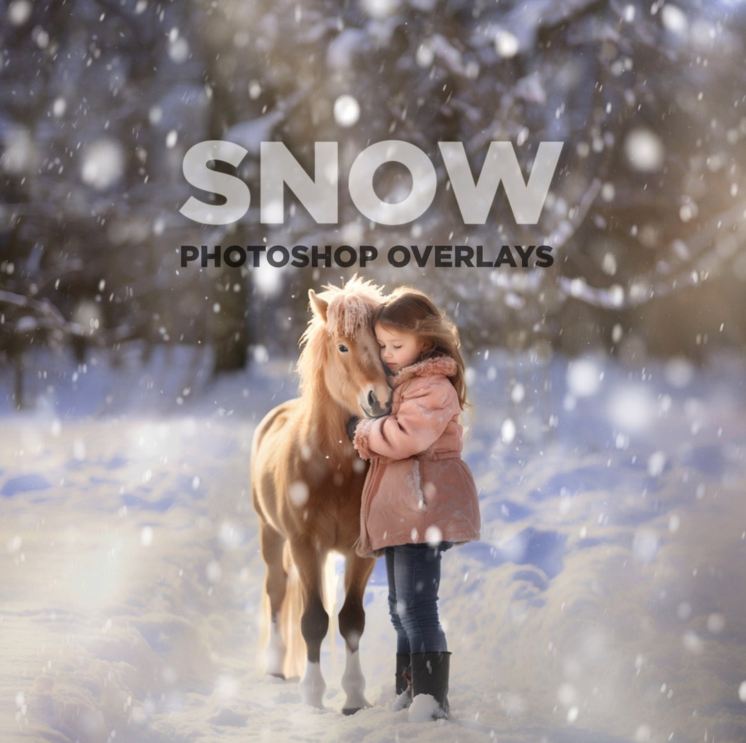 50 Realistic Falling Snow Overlays: Photoshop Winter Photo Effects (JPG ...