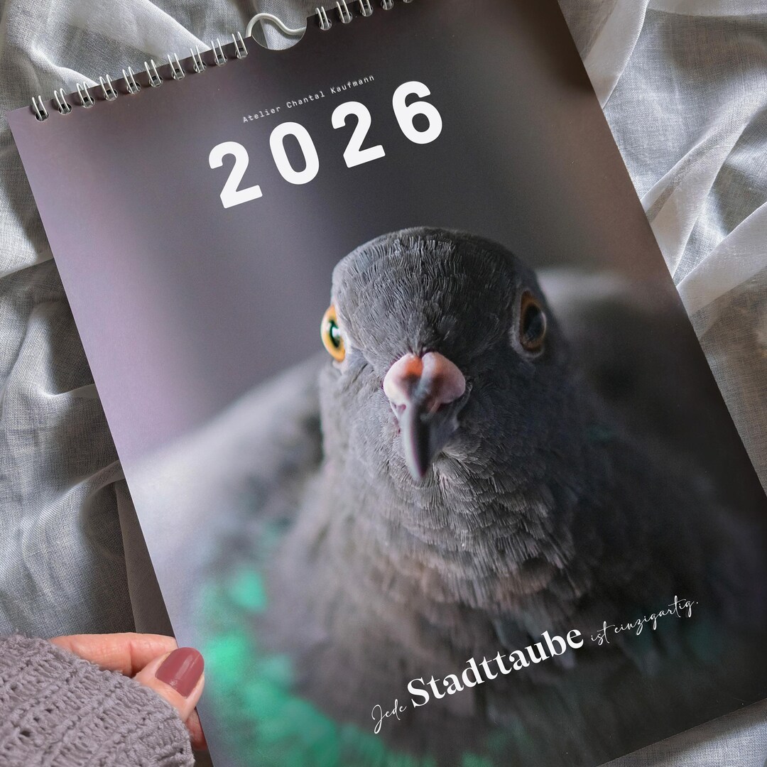 City Pigeon Calendar 2026 (DIN A4) - Etsy