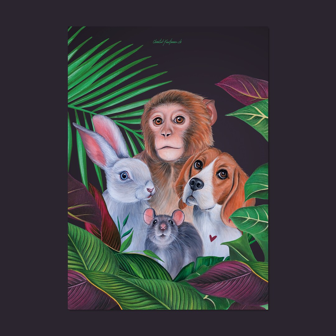 Stop Animal Testing | Poster DIN A3 | Vegan Style - Etsy