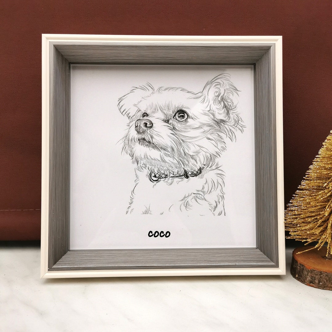 Personalized Hand Drawn Pet Portrait, Custom Animal Sketch From ...