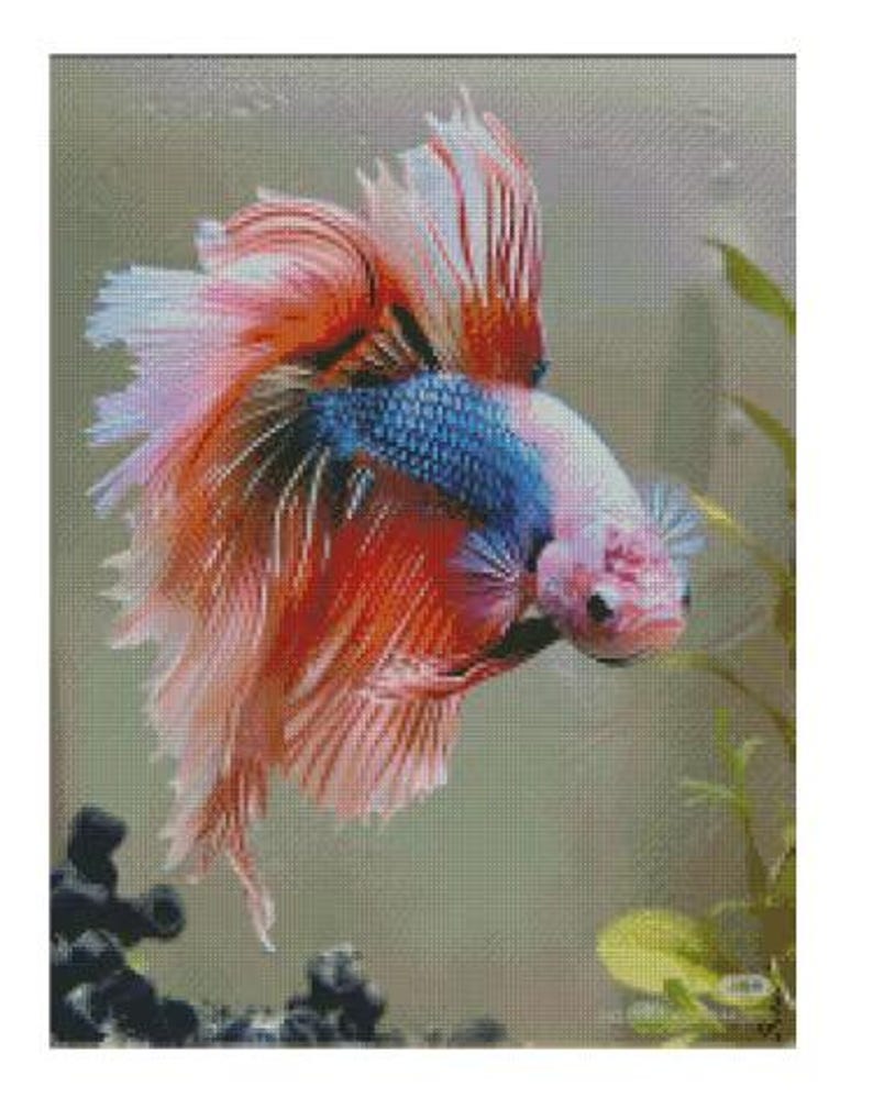 Diamond Painting Betta, Betta Fish Diamond Painting Kit, DIY Fish Wall ...