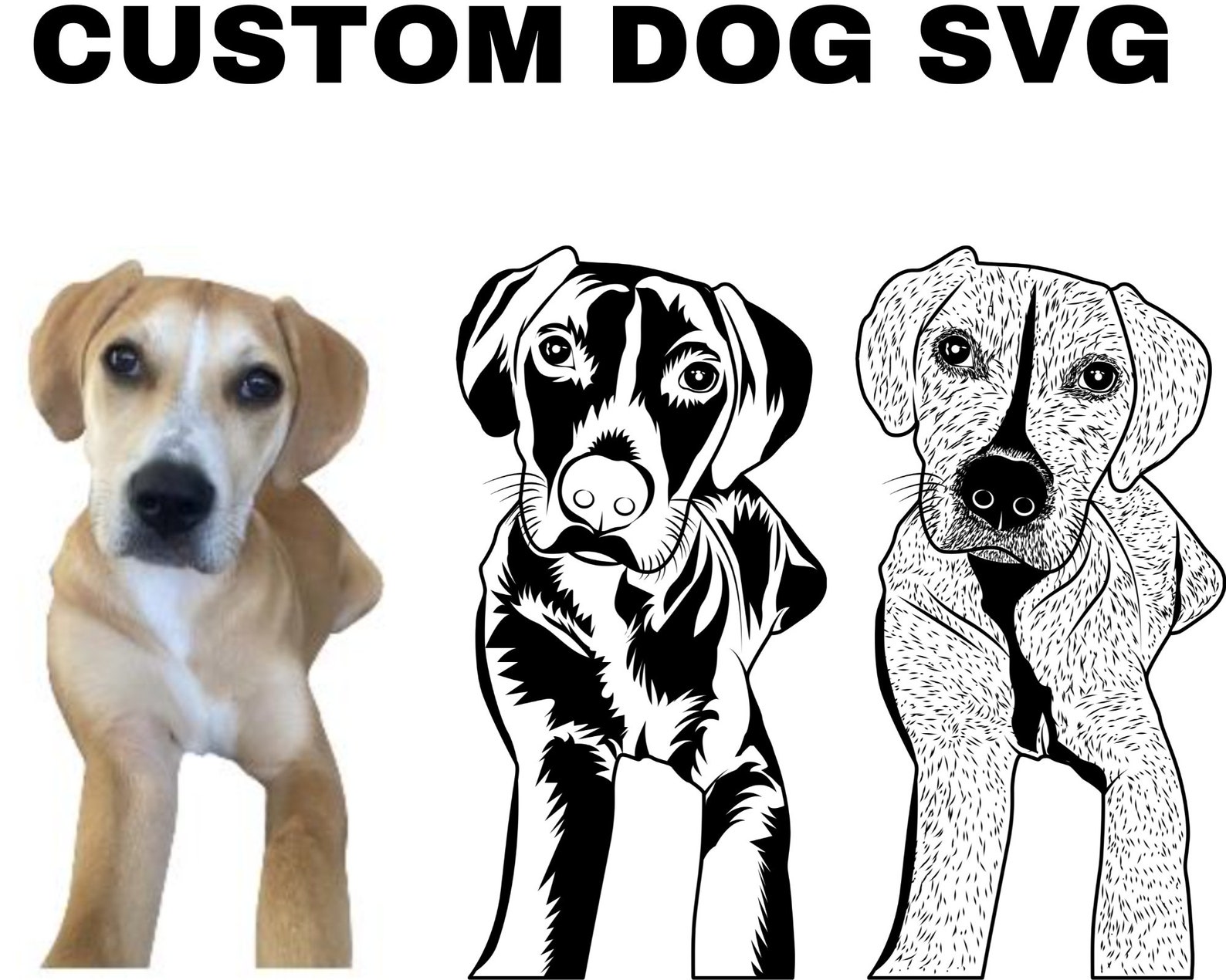 Photo to SVG, Images to SVG, Photo to Vector, Image to Vector, Custom ...