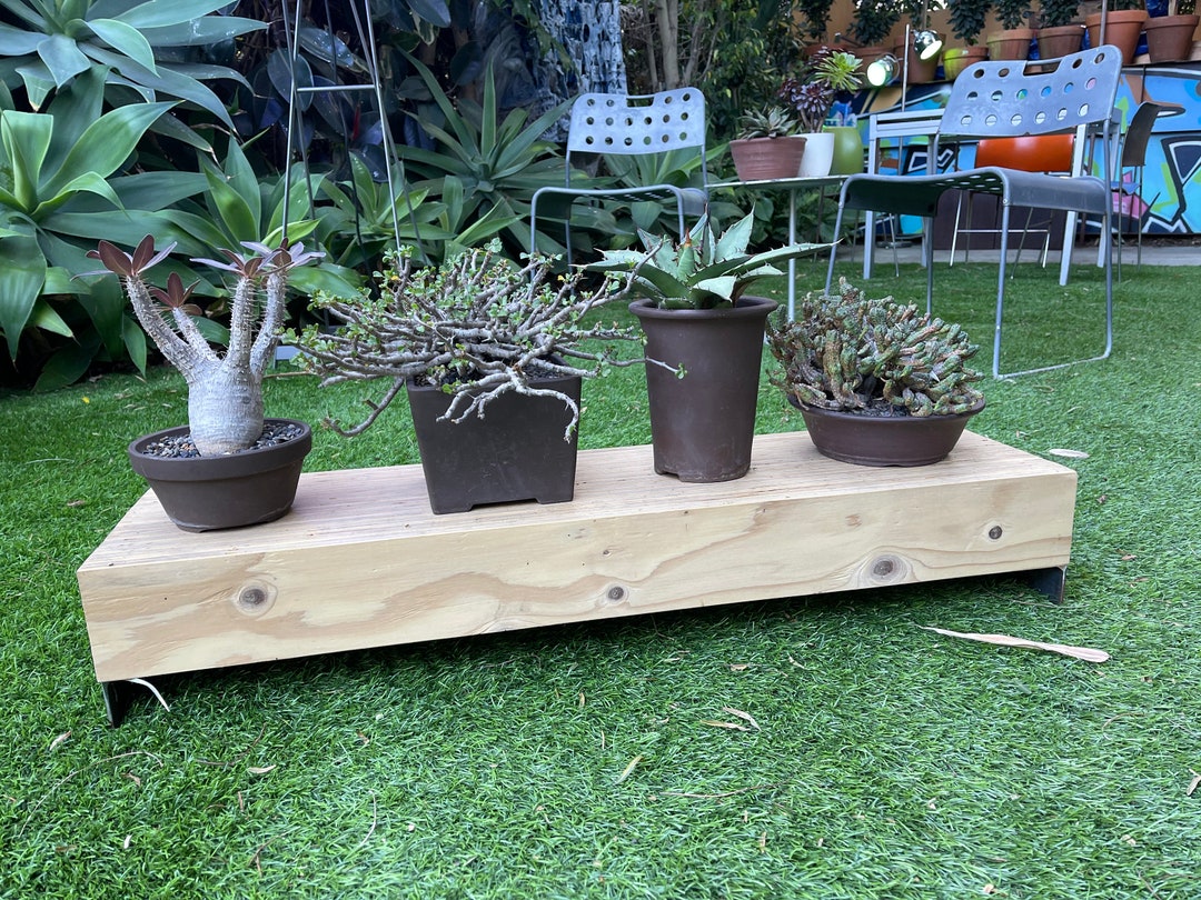 Plant Riser - Etsy