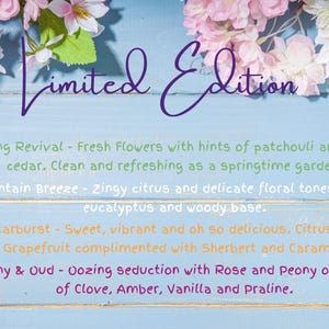 Customisable Premium Luxury Reed Diffuser | Handmade Long Lasting 100ml ...