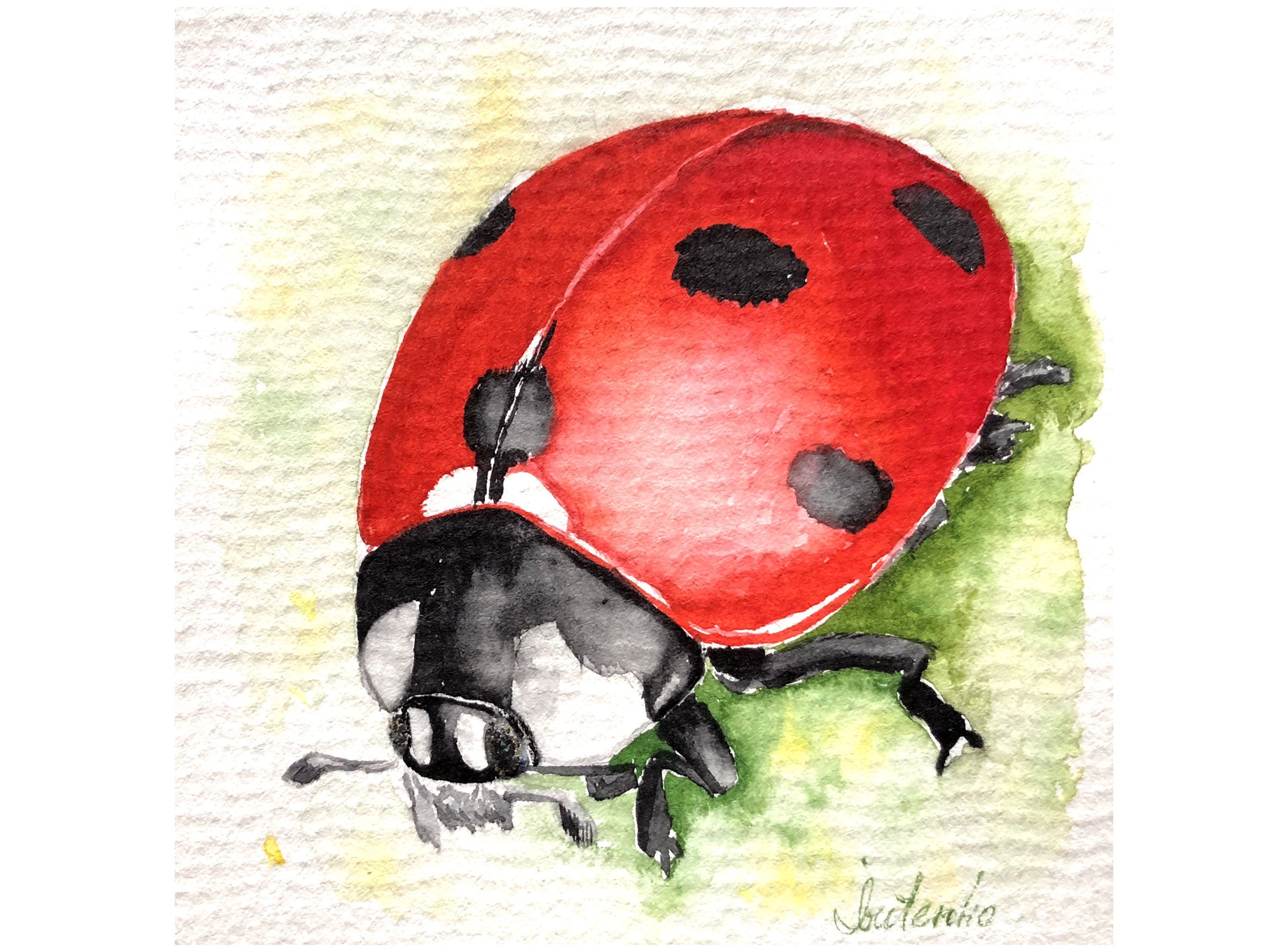 Ladybug Painting Original Watercolor Bugs Small Wall Art | Etsy