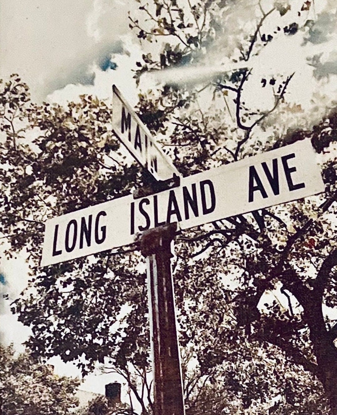 Long Island Street Sign Canvas Print. - Etsy