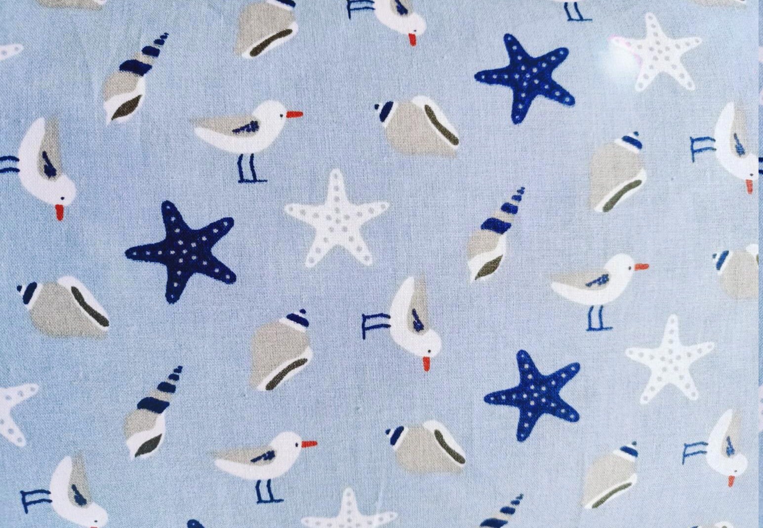 3 Pieces Duvet Set, Cotton Duvet Set for Toddler, Seagull Bedding for ...
