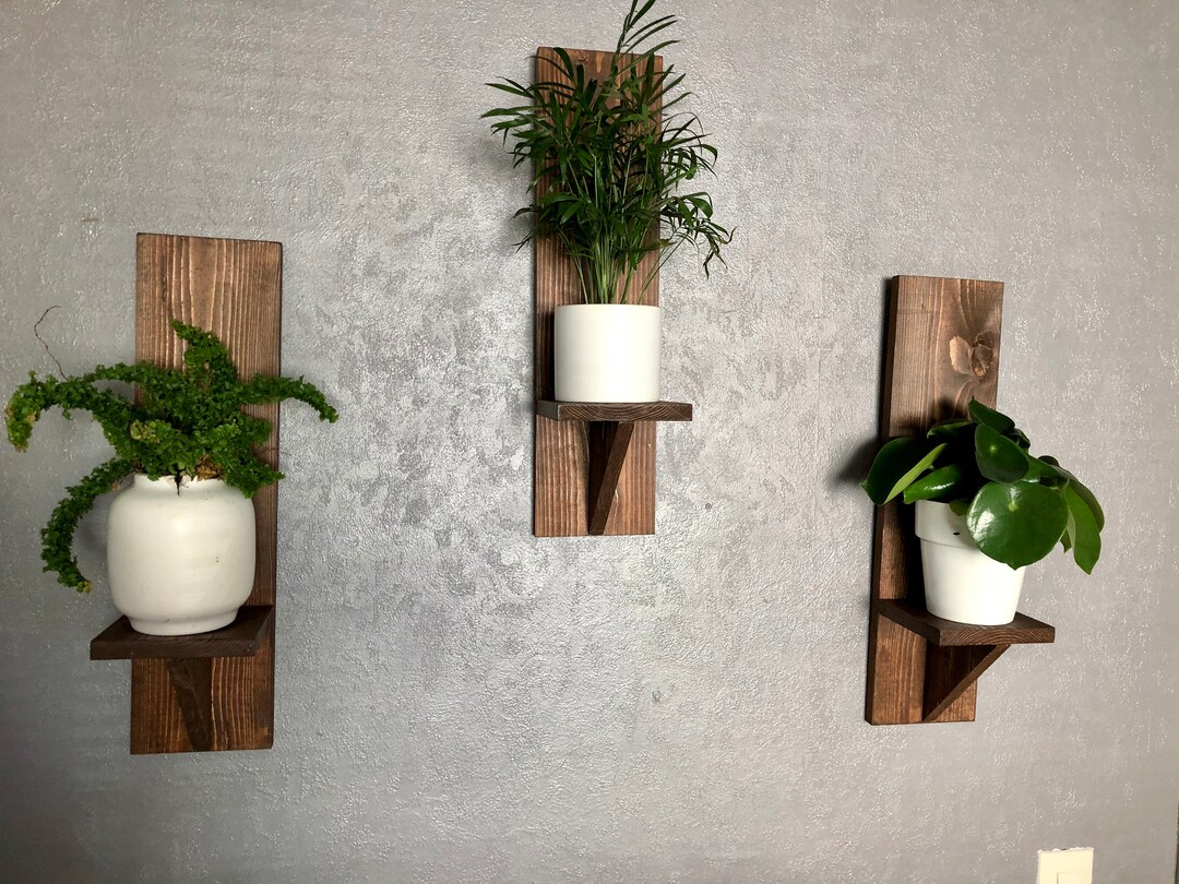 Floating Plank Shelf Floating Shelf Plant Stand Wall Decor - Etsy