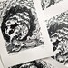 Broken Moon - Original Lino Print - Etsy
