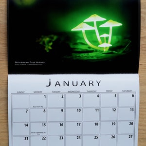 Firefly Photography Calendar 2024 - Etsy
