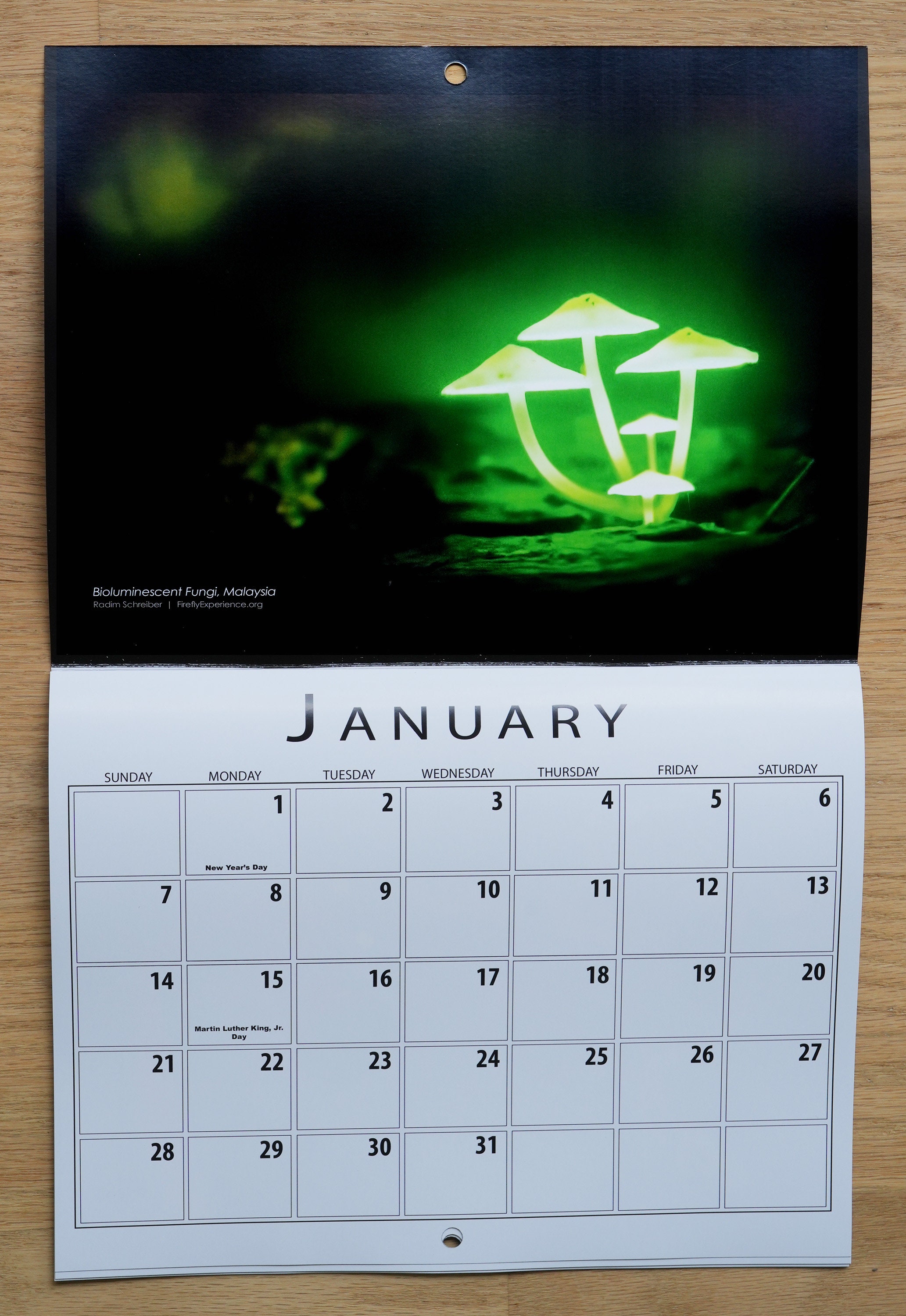 Firefly Photography Calendar 2024 - Etsy