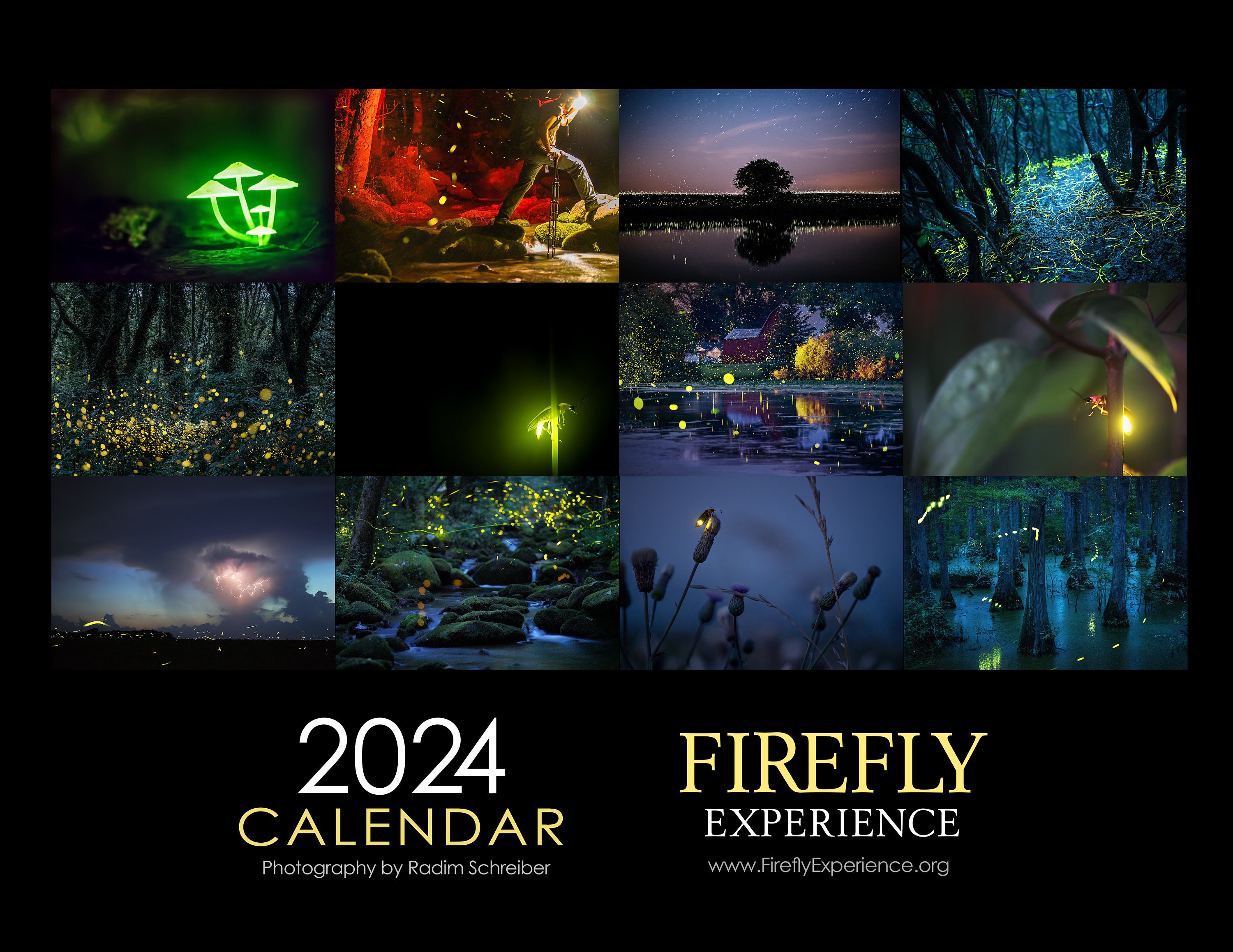 Firefly Photography Calendar 2024 - Etsy