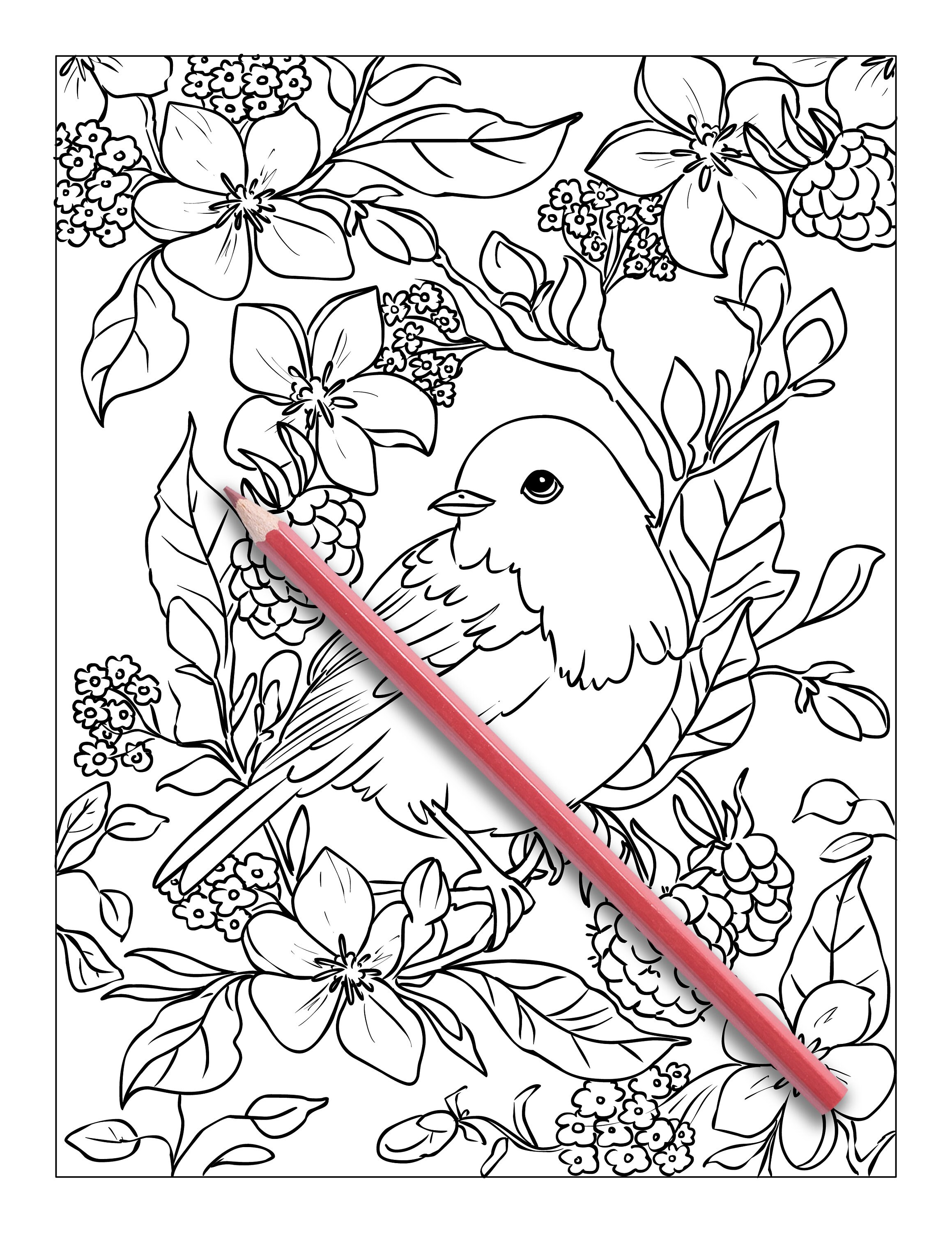 Ava Browne Coloring Books Flower Coloring Book Adult - Etsy
