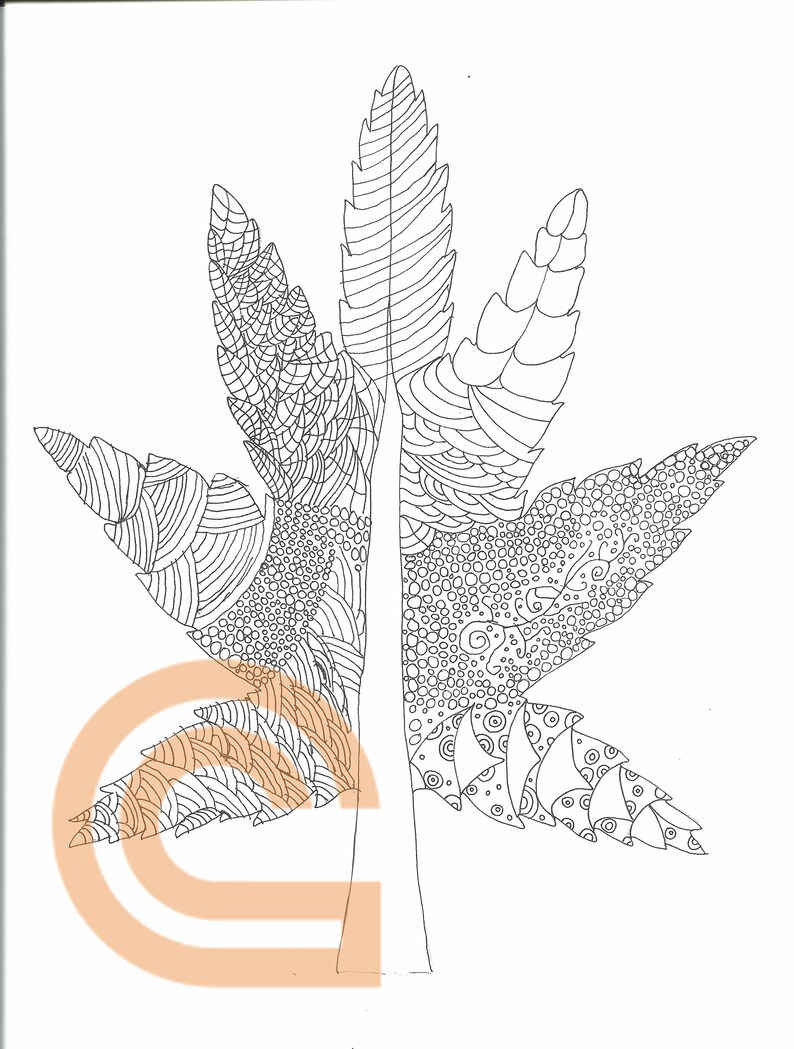 Leaf Colouring Page, Detailed Insect Colouring Page, Leaf Adult ...
