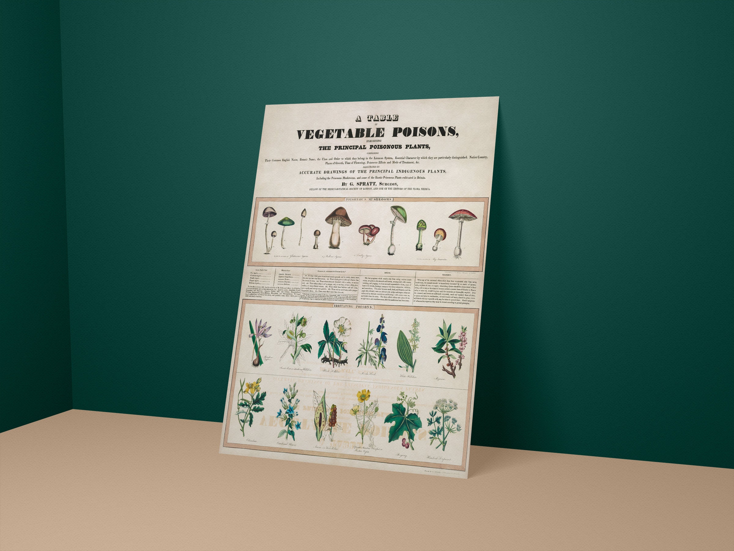 Light Academia Gallery Wall Poster Prints Bundle 13 Vintage | Etsy