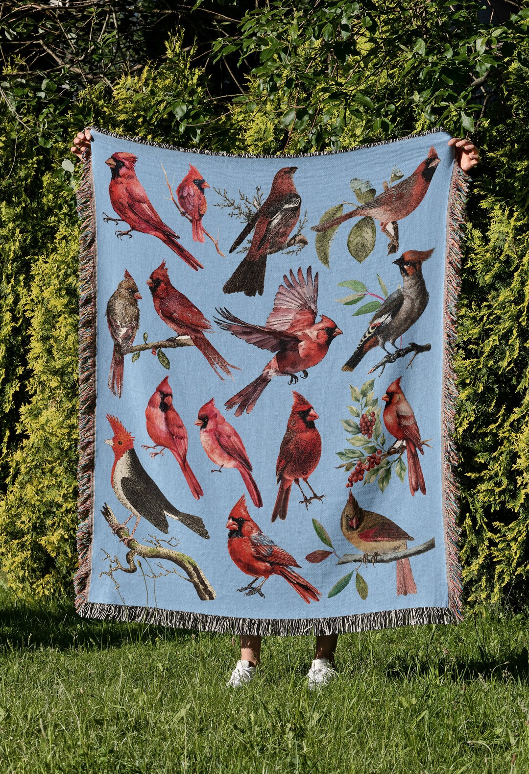 Northern Cardinal Woven Blanket, Redbird Cotton Throw, Ornithologist ...