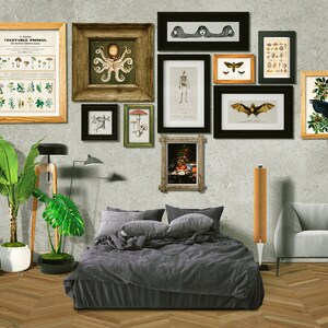 Light Academia Gallery Wall Poster Prints Bundle 13 Vintage | Etsy