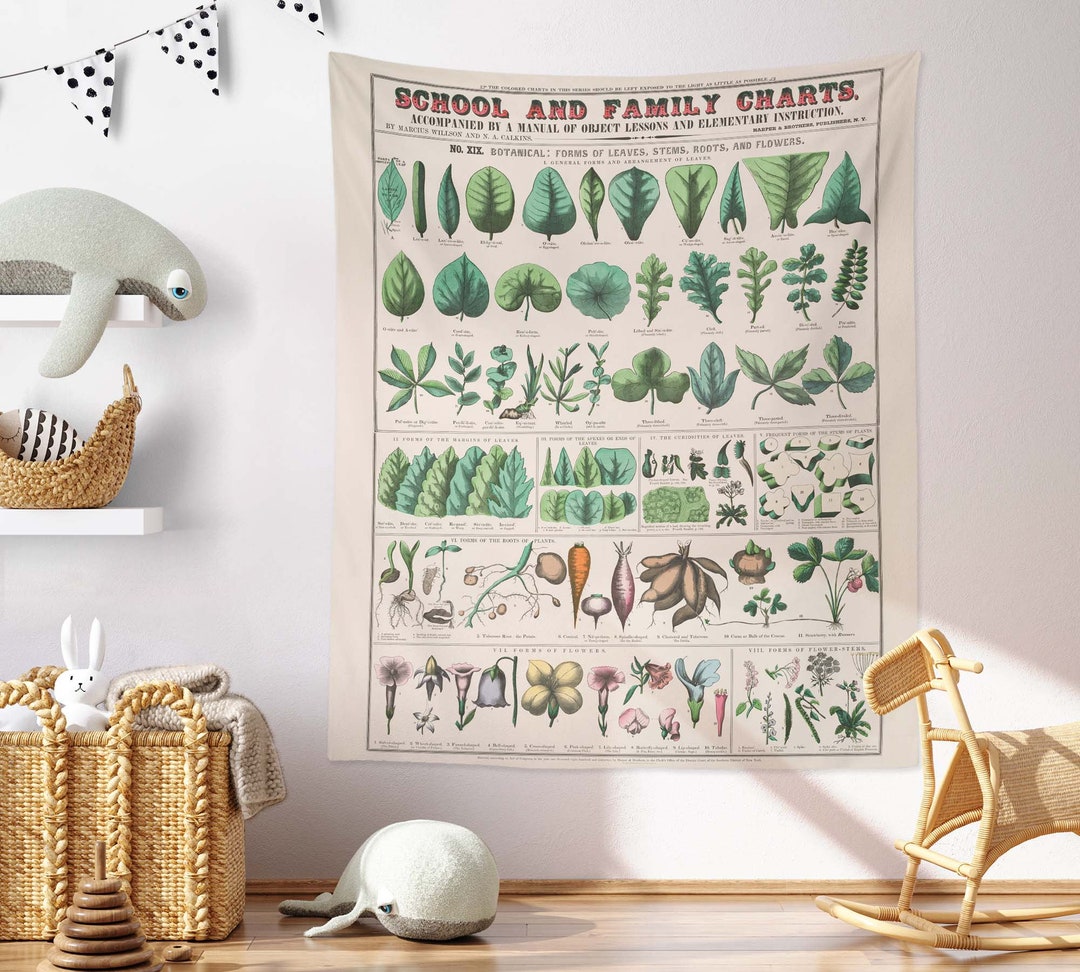 Plant Tapestry, Educational Chart, Classroom Decor, Indoor Wall ...